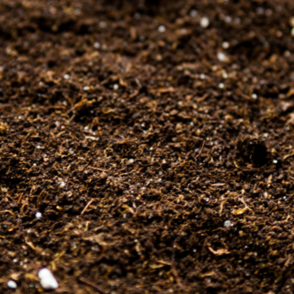 The Year of Fallow Ground and Hidden Fruit - Caz Church