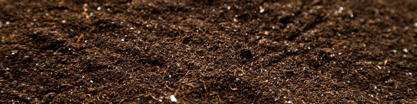 The Year of Fallow Ground and Hidden Fruit - Caz Church